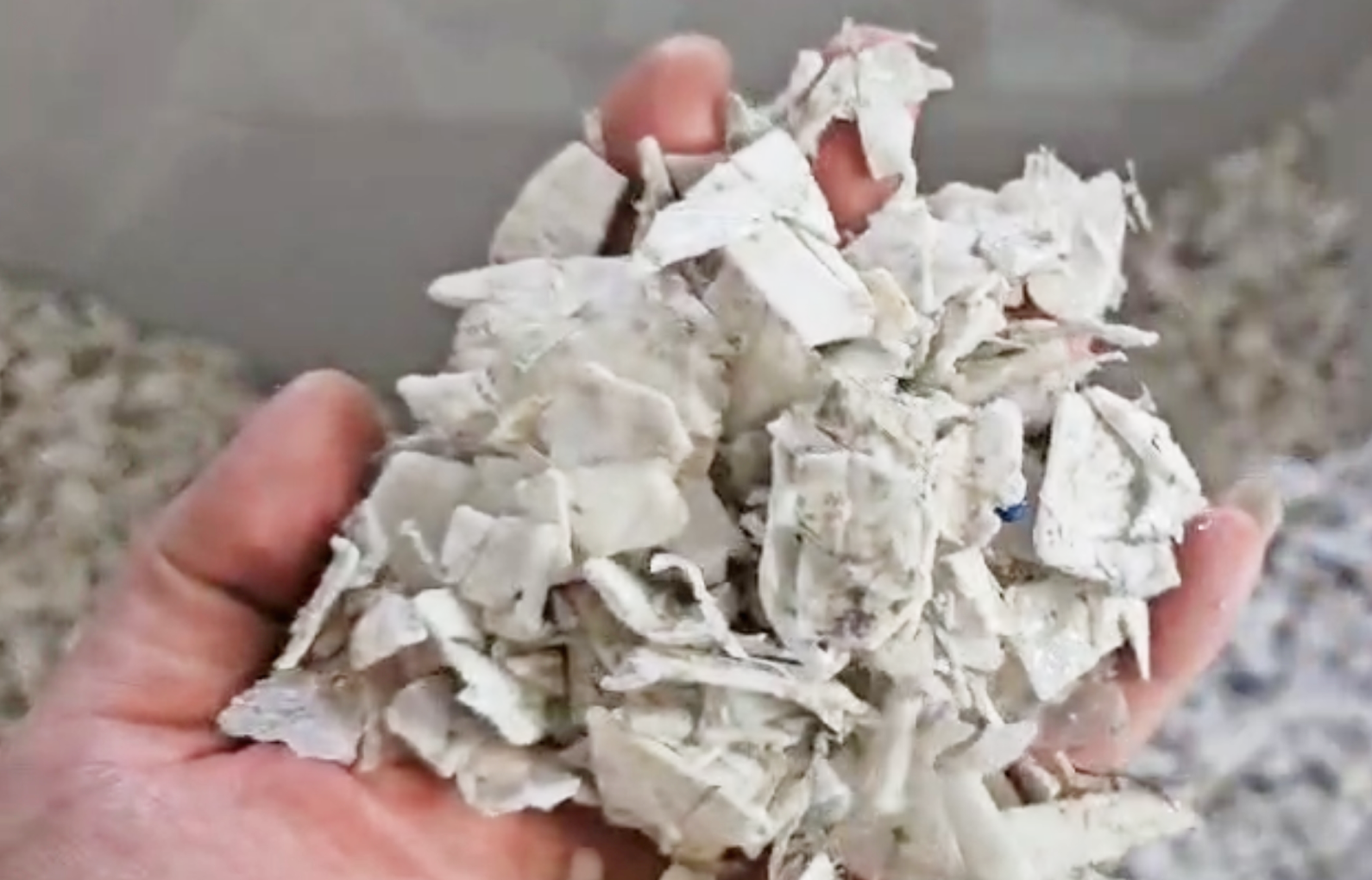 POLYSTAR Pelletizer Commissioned for Soft and Rigid PE and PP Plastic Waste